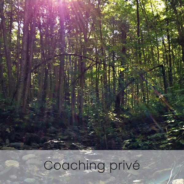 Coaching privé - LaboPrana